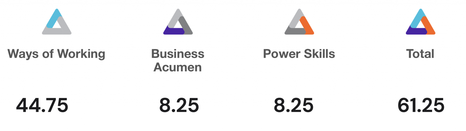 60 PDUs Bundle for PMP® Renewal - IMT-PM