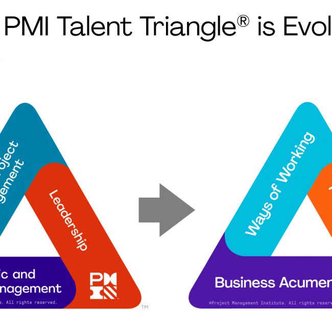 PMP® Exam Prep Archives - IMT-PM