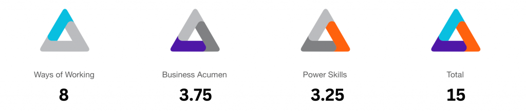 15 PDUs Bundle for CAPM® Renewal - IMT-PM