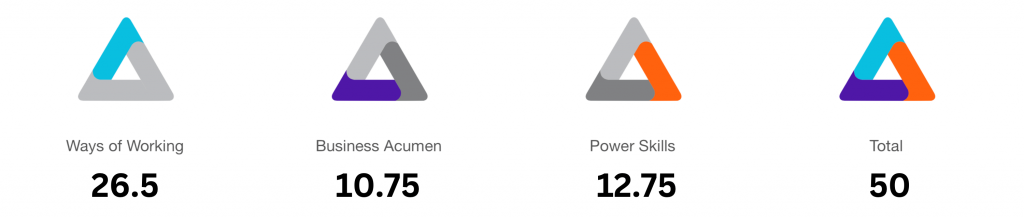 50 PDUs Bundle for PMP® Renewal - IMT-PM