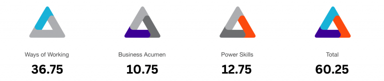 60 PDUs Bundle for PMP® Renewal - IMT-PM