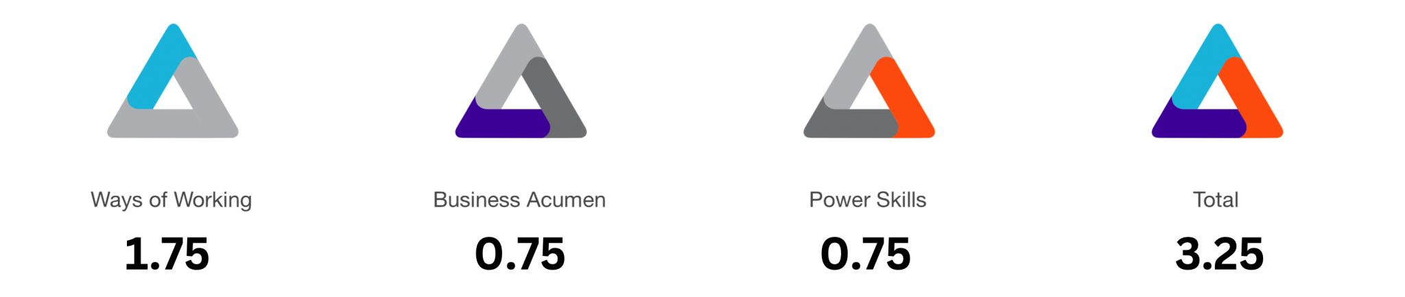 Program Management for Practitioners - IMT-PM
